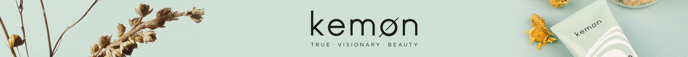 Kemon | Professional Hair Colour & Care | Salon Services