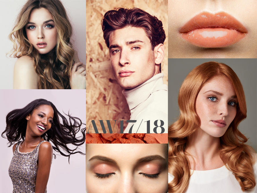 Salon Products & Equipment | Professional Beauty | Salon Services