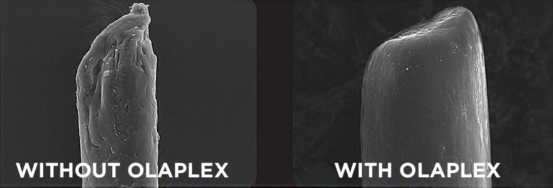 How to Use Olaplex | What Does Olaplex Do? | Salon Services